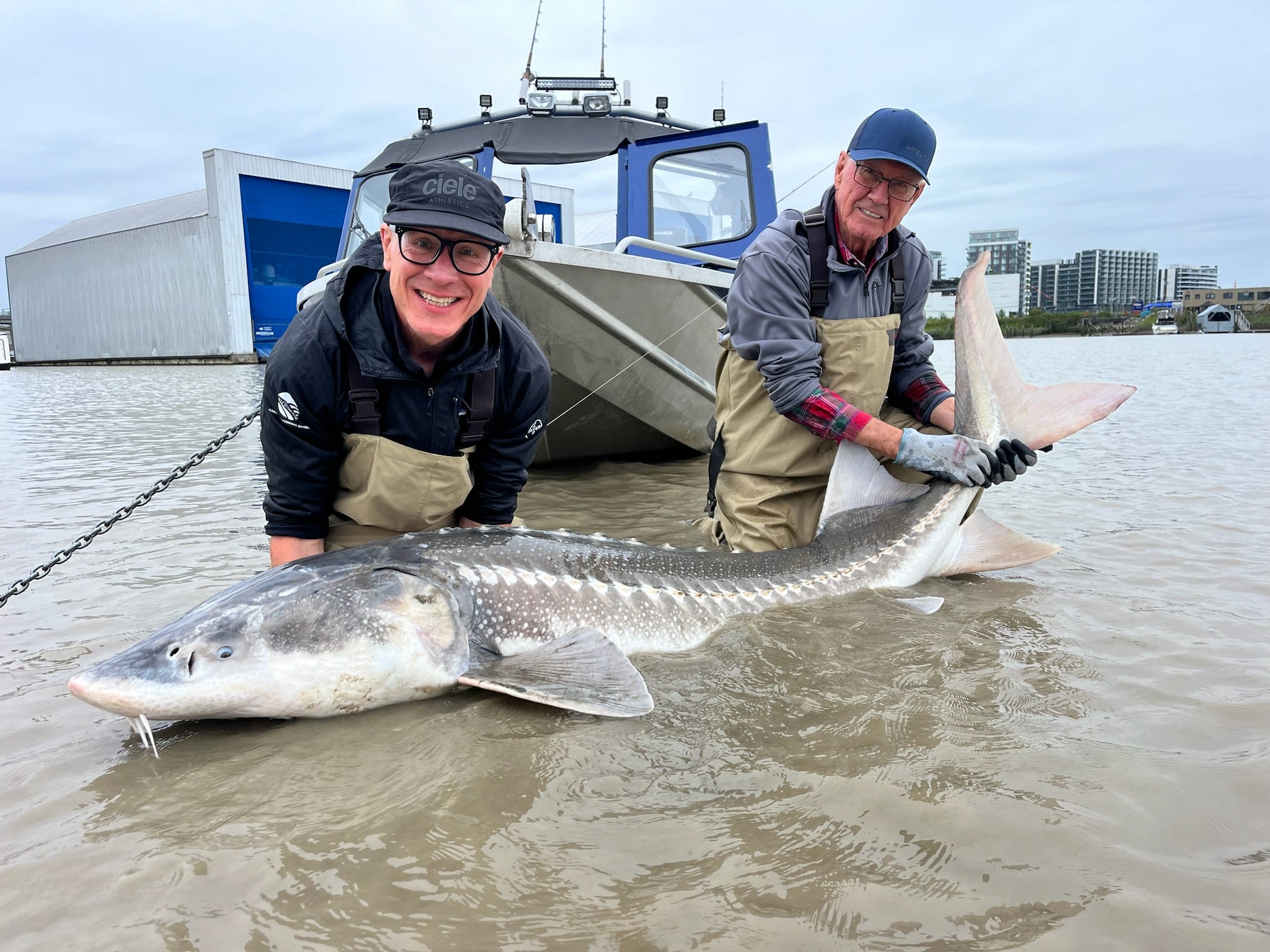 Sturgeon Fishing Update - August 9, 2024 – Pacific Angler Sturgeon Fishing